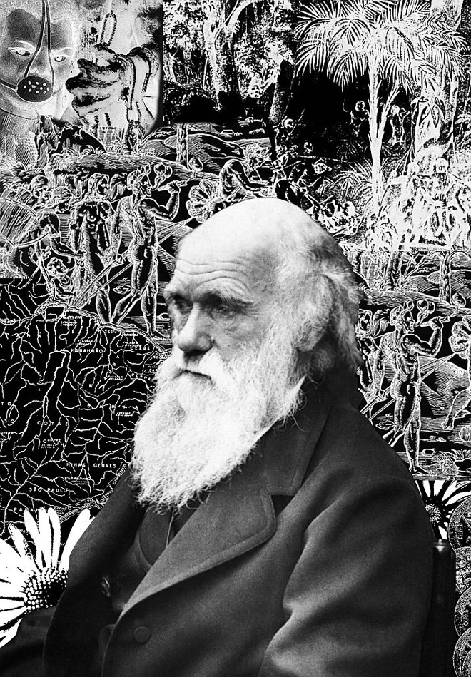 O Brasil de Darwin