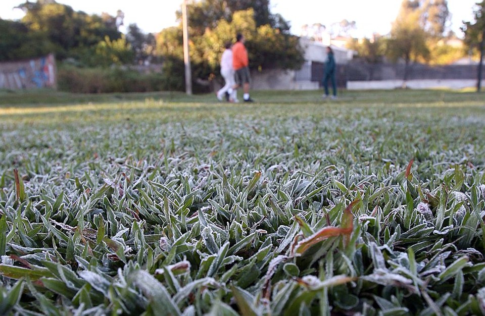 Geada marca o dia mais frio do ano em Curitiba