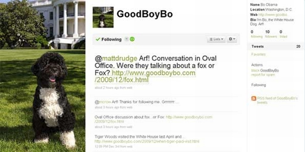 Cachorro da família Obama ganha blog e Twitter extraoficiais