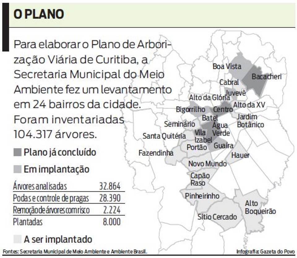 Plantar árvores também exige planejamento