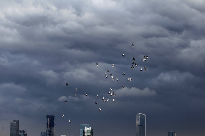 Tufão Muifa poupa Xangai, mas se dirige para Shandong