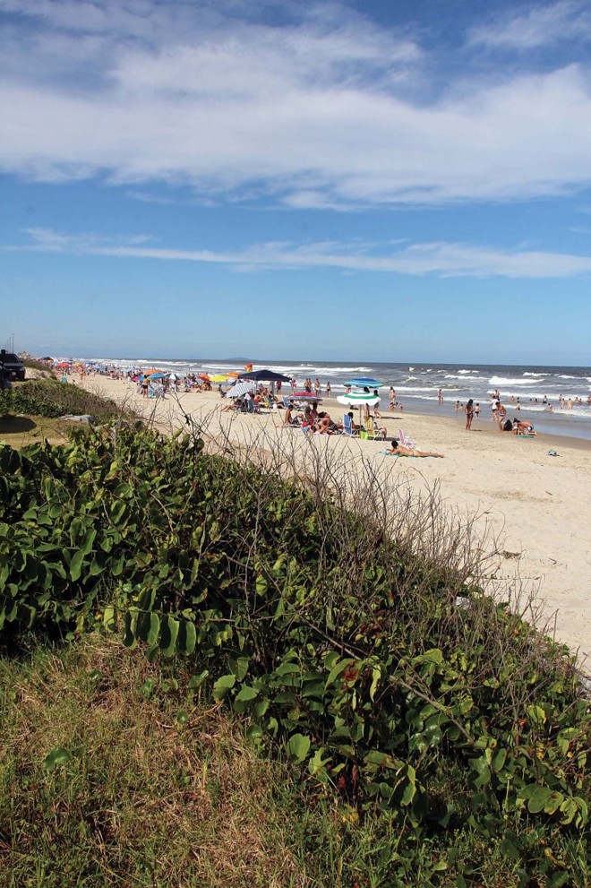 Restinga, desconhecida e ameaçada