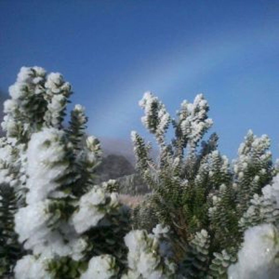 Parque do Rio de Janeiro registra queda de neve no fim de setembro