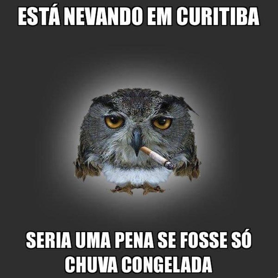 Internautas fazem piadas sobre a neve de Curitiba nas redes sociais