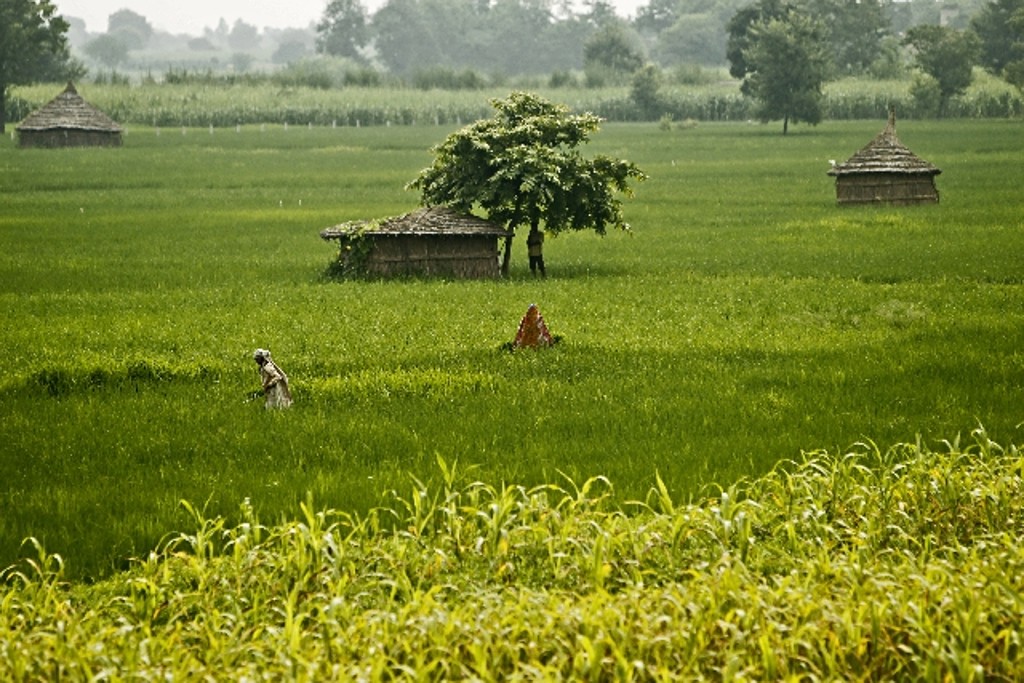 O agronegócio como estratégia à Índia