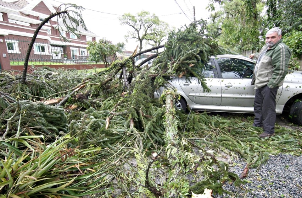 Dia de reconstrução