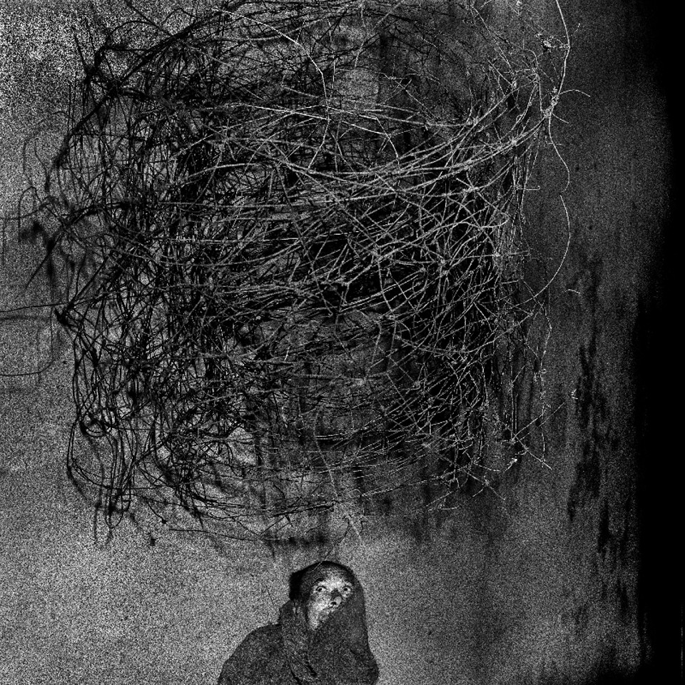 Retratos de um mundo caótico