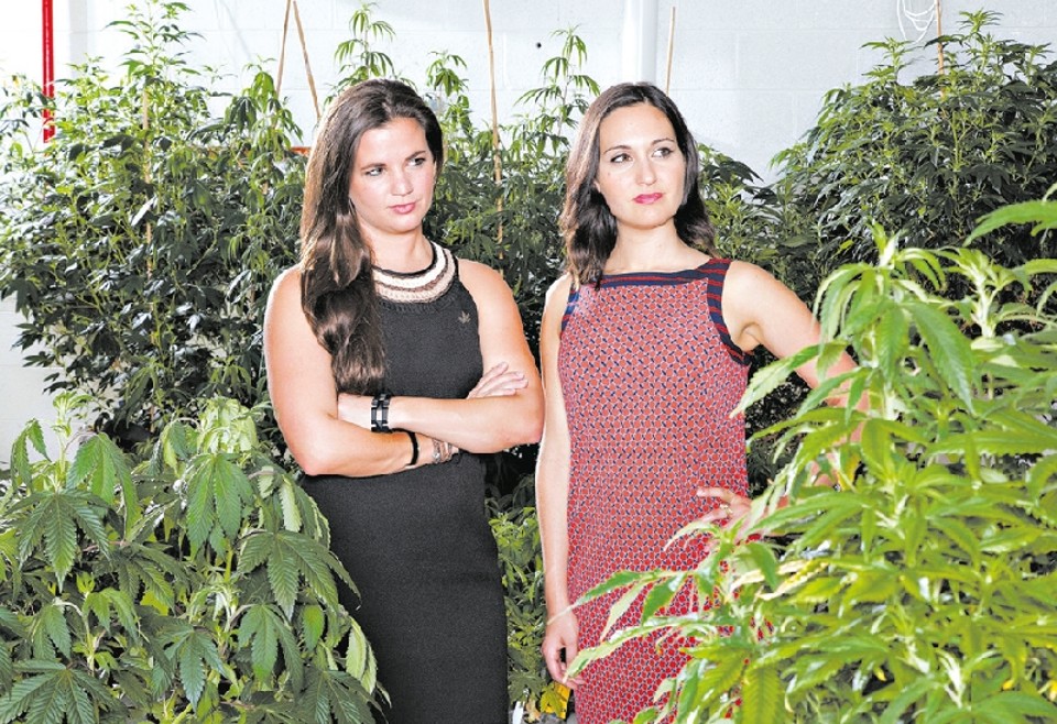 Mudando a imagem negativa da maconha