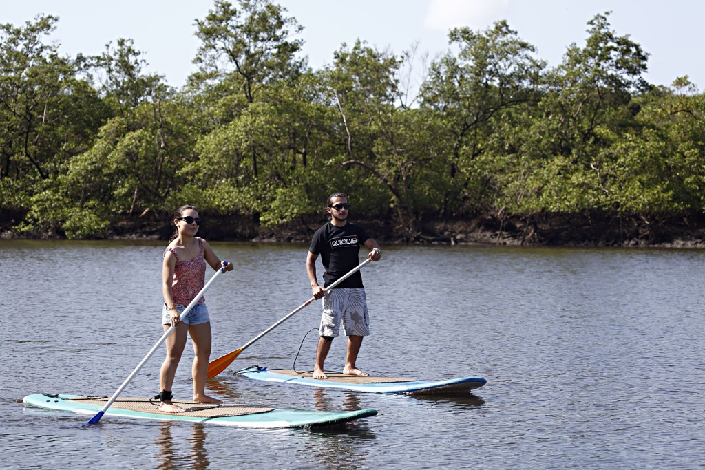 Em pranchas de stand-up paddle, turistas conhecem as praias e rios do ...