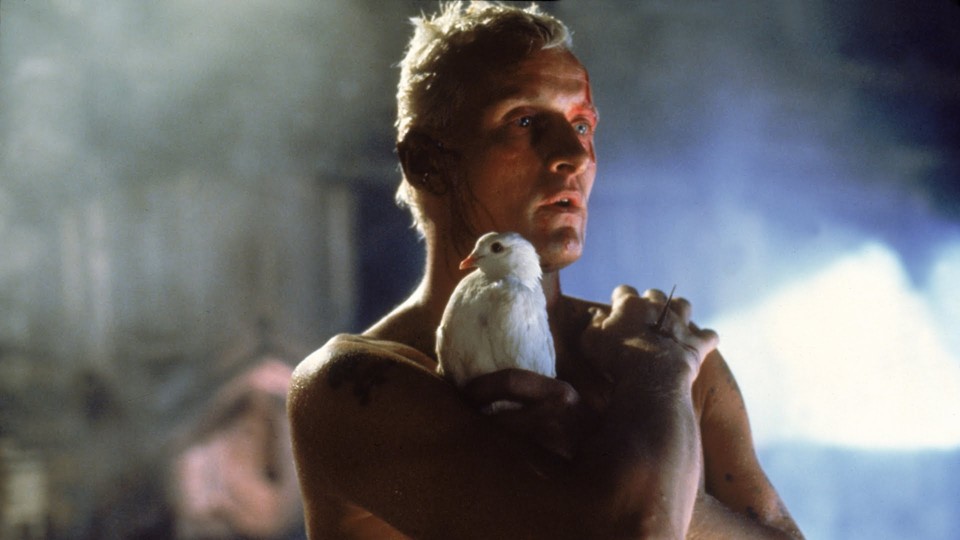 Roy Batty, personagem emblemático de ‘Blade Runner’, teria nascido ...