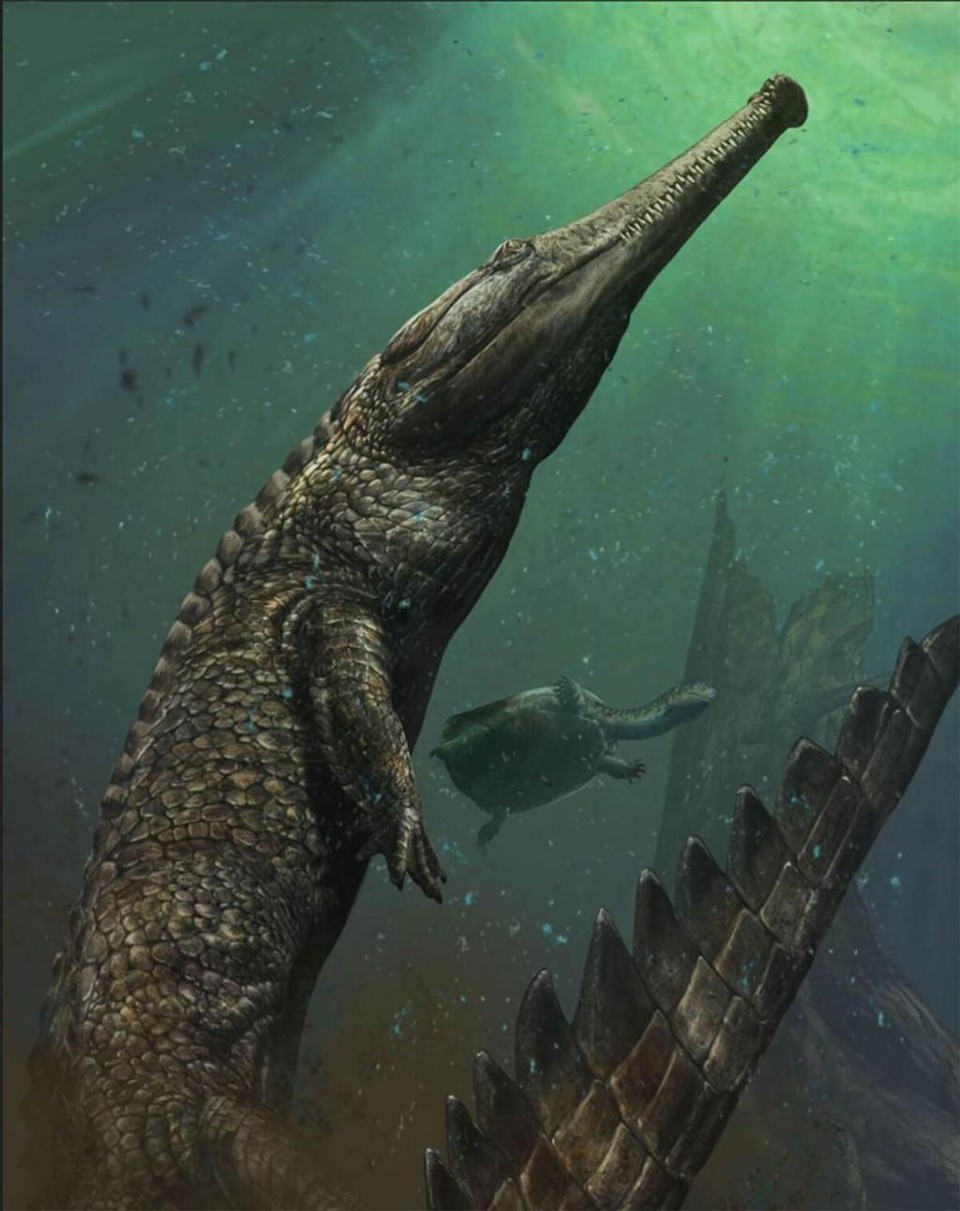 Crocodilo Pre Historico Gigante