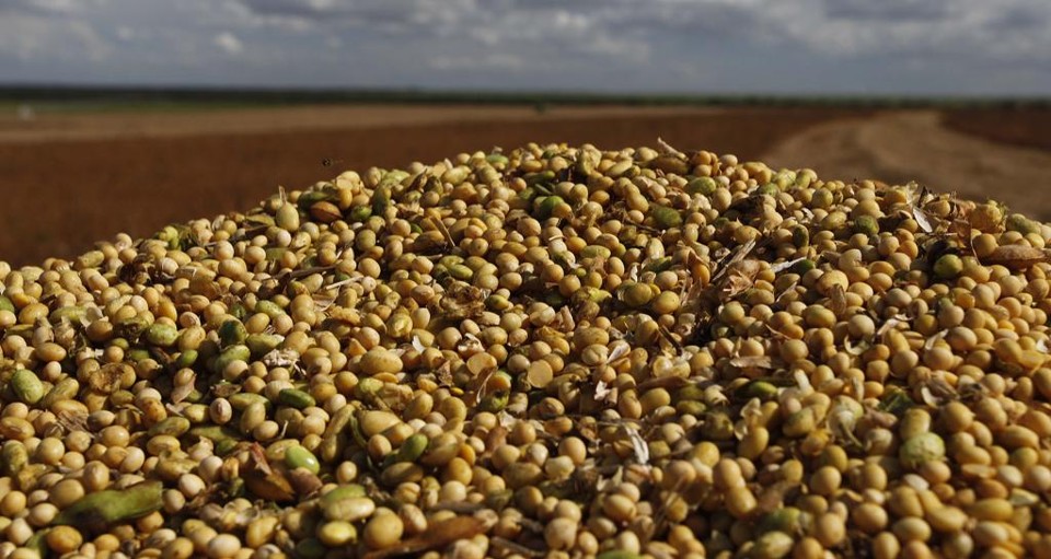 Matopiba: problemas ao longo da safra