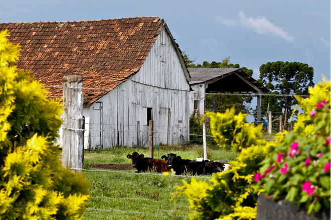 Cinco bons motivos para visitar a Colônia Witmarsum