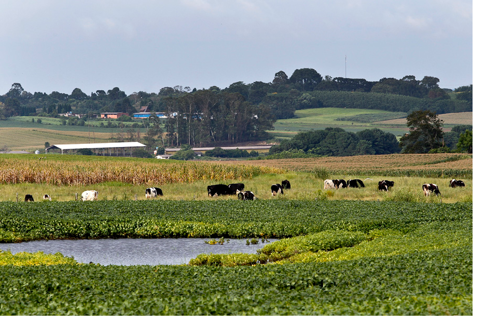 Cinco bons motivos para visitar a Colônia Witmarsum