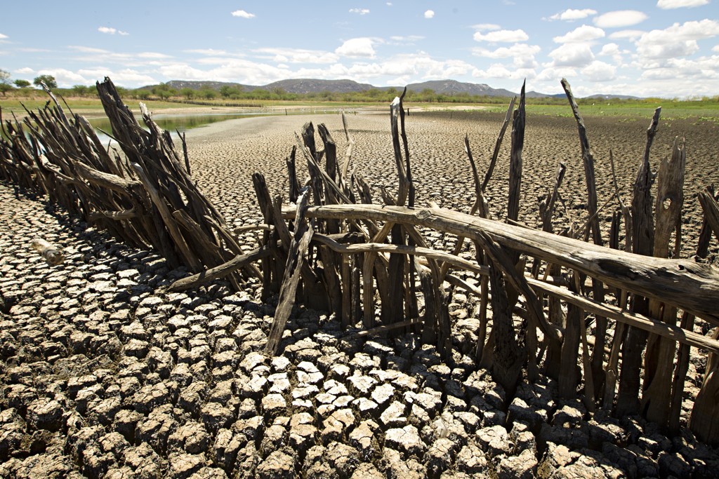 Nordeste enfrenta maior seca em 100 anos
