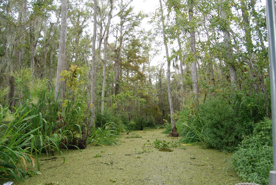 O sotaque mineiro da Louisiana