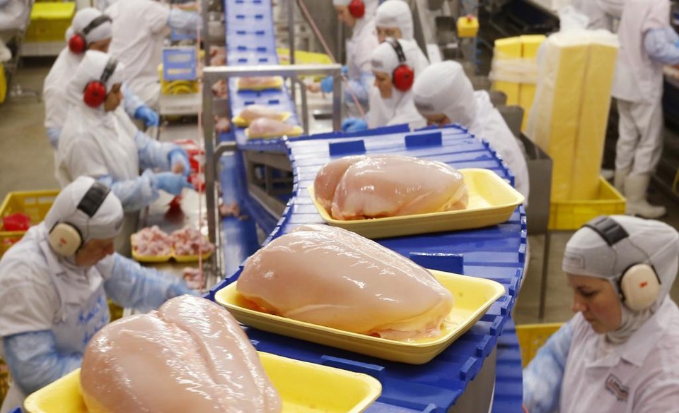 Qualidade certificada: frango do BR ganha mercado externo