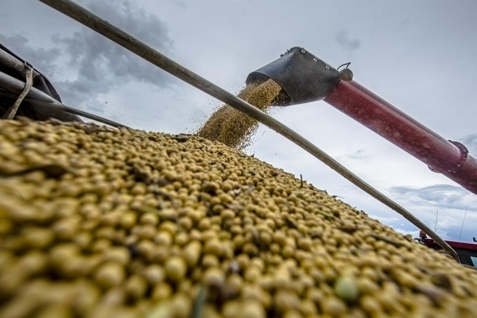 Safra brasileira será de 230,3 milhões de toneladas, estima IBGE