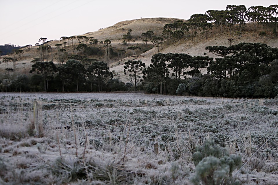 Geada, frio e estiagem no Paraná: previsão para julho e agosto 2018