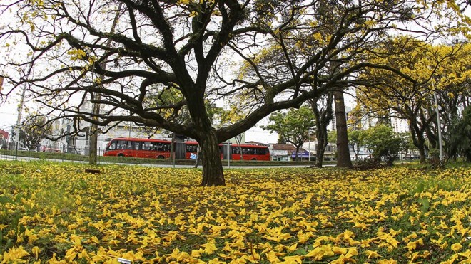 Como será o outono em Curitiba e região?