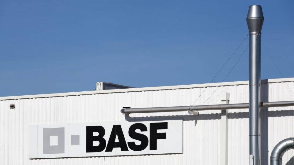Basf prevê ampliação de 50% nas vendas de soluções agrícolas até 2030
