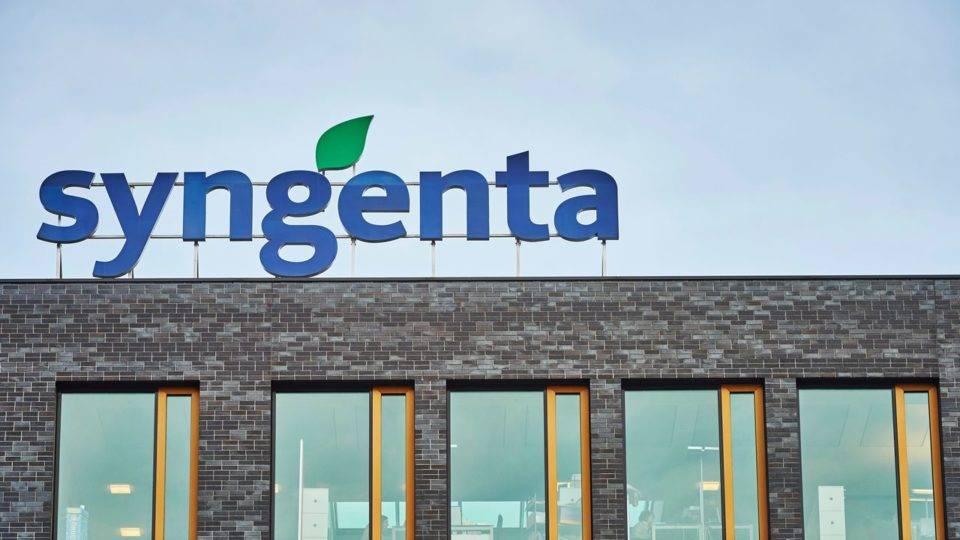 Syngenta quer recuperar 1 milhão de hectares do cerrado brasileiro