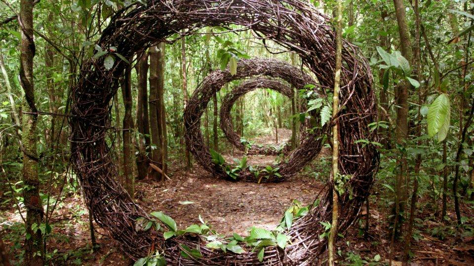 Ekôa Park: paraíso que mistura aventura e conscientização ambiental