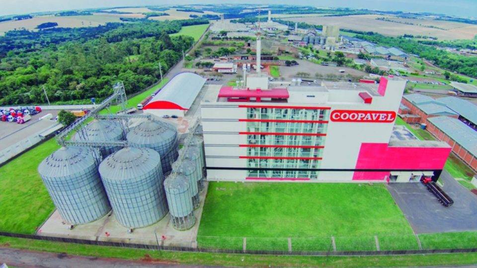 Coopavel compra unidade de sementes do Grupo Guerra
