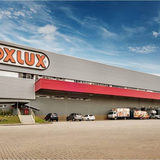 Foxlux Logo