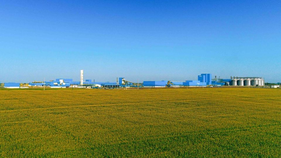 C.Vale inicia obra de esmagadora de soja em Palotina