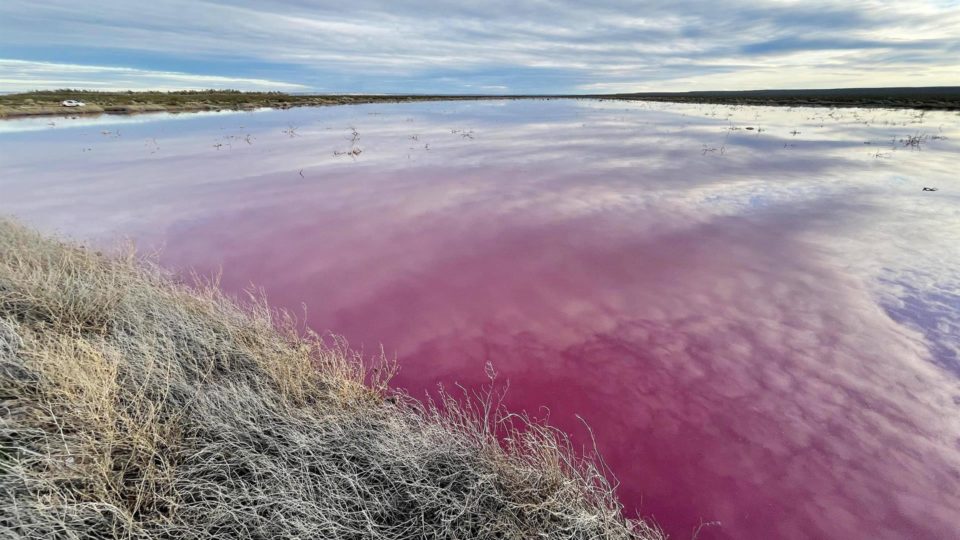 Silos nucleares na China, lagoa rosa e protestos: as imagens da semana