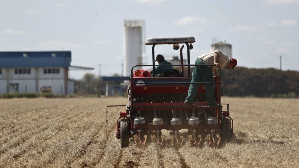 Castrolanda bate recorde semestral e chega a R$ 2,6 bilhões faturados