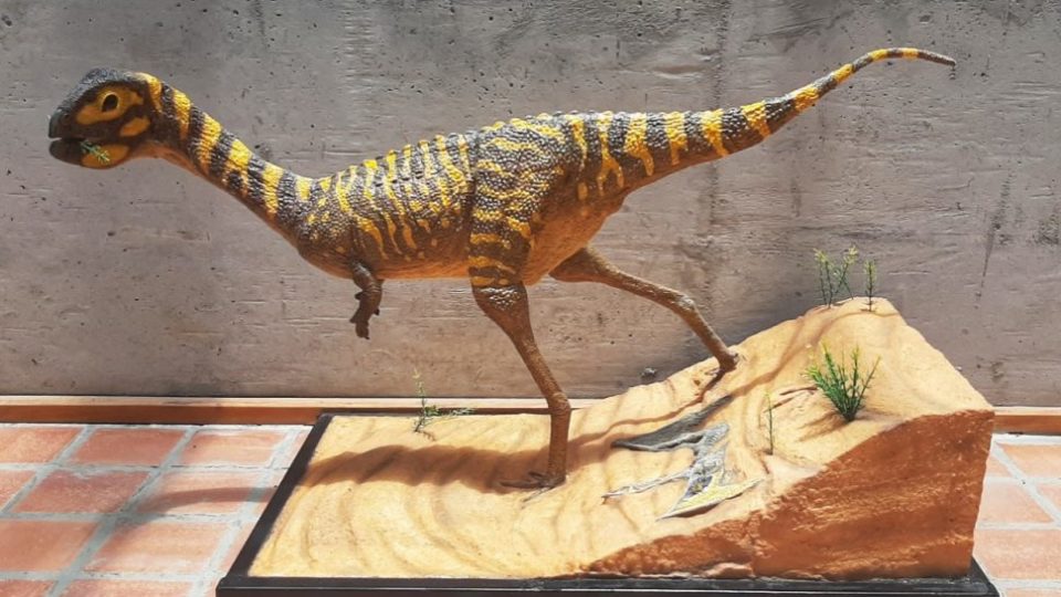 Museu Nacional anuncia descoberta de novo dinossauro paranaense