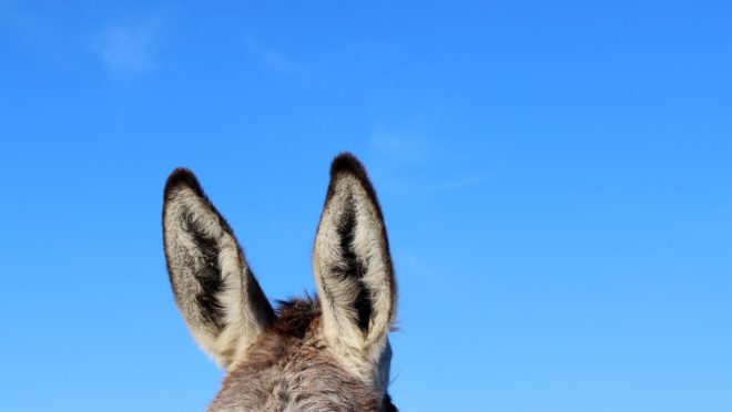 Um erro hortográfico: nossa, que burro, dá zero pra ele!