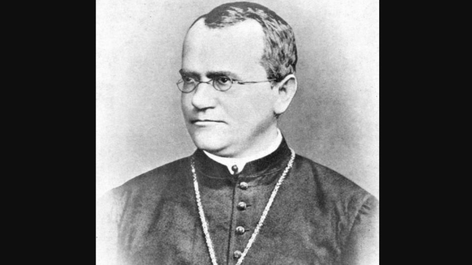 Gregor Mendel: o bicentenário de um monge cientista