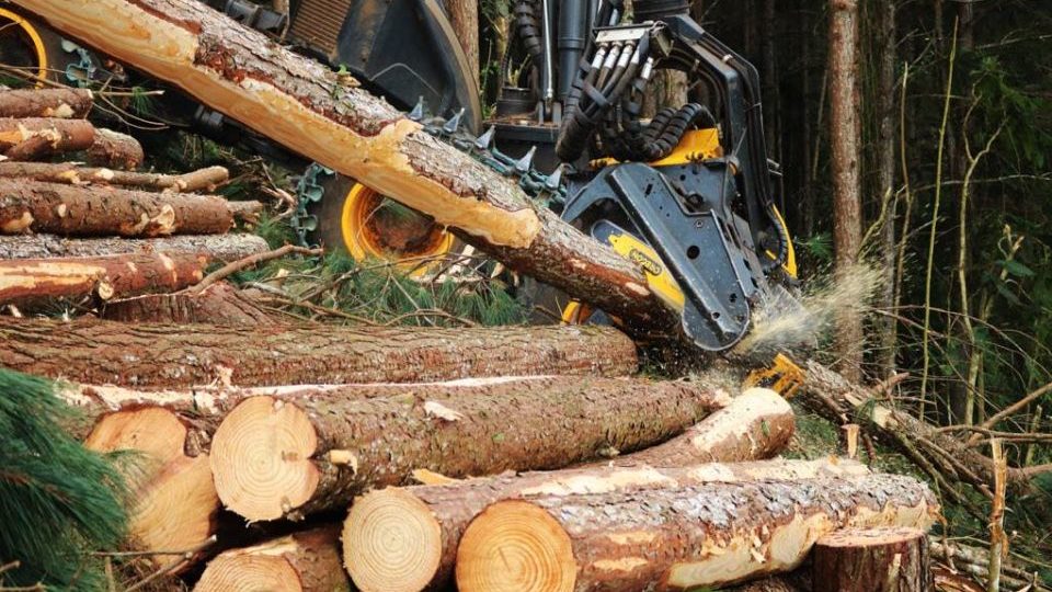 Oregon Tool aumenta vendas com demanda por papel no e-commerce