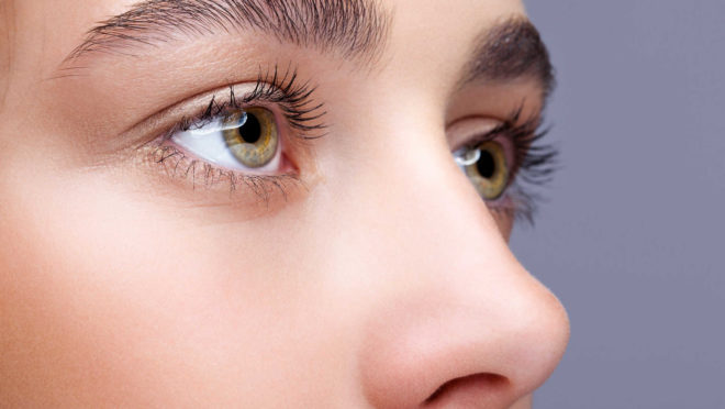 Tipos de nariz: você sabe quais são e as características?