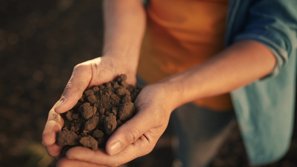 O lance é comer barro