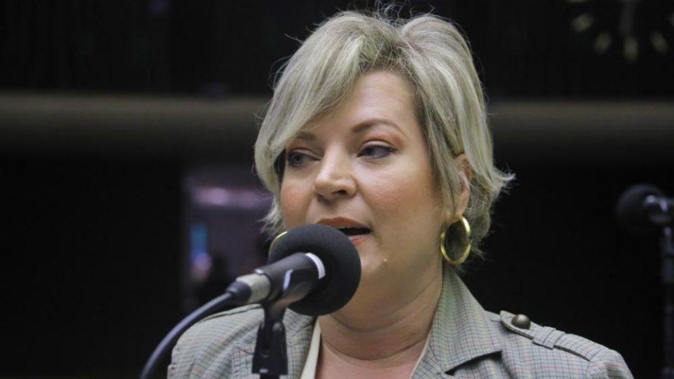 PSDB de SP expulsa deputada Joice Hasselmann por críticas após não ter ...