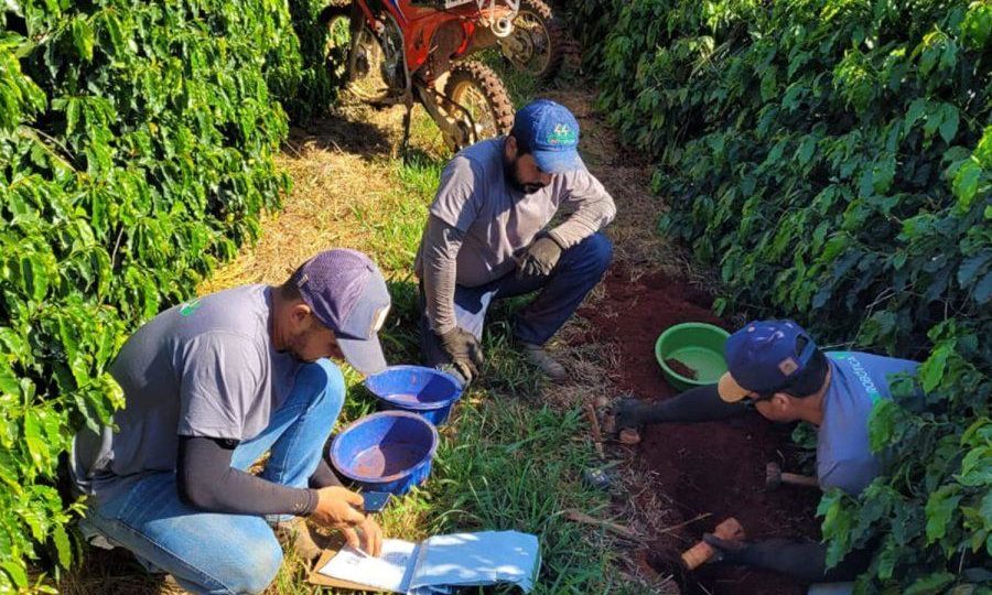 Protagonista no agro, SP alia inovação, pesquisa e incubadoras