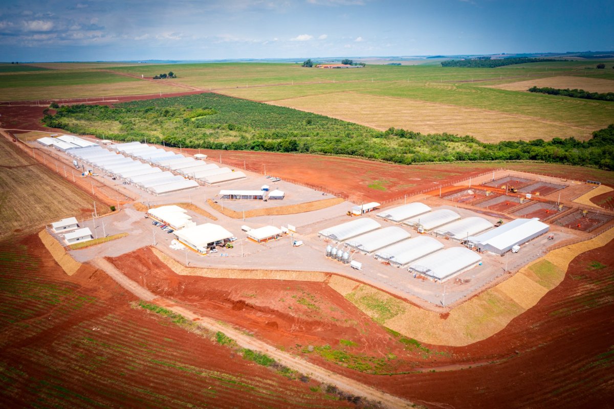 Cooperativa destina dejeto de suínos para produção de energia elétrica