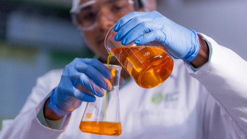 Empresas testam fontes alternativas de energia, de dendê a amônia