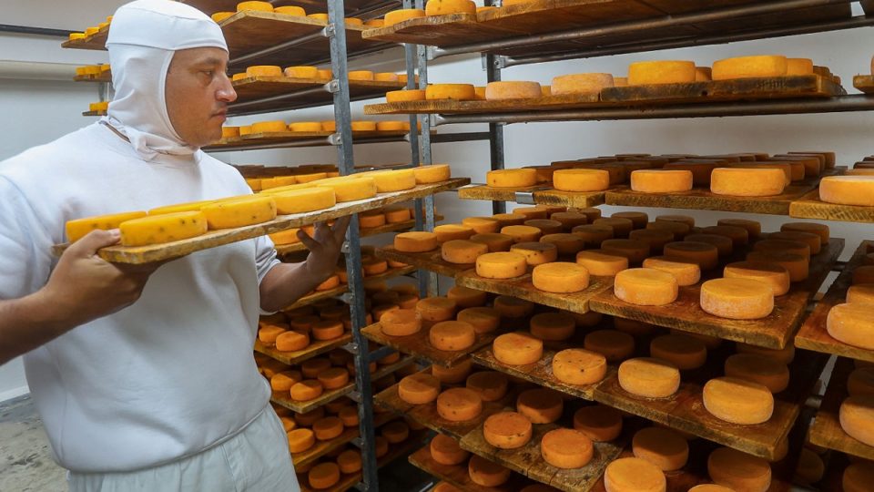 Premiada, cooperativa produz 23 toneladas de queijos finos por mês