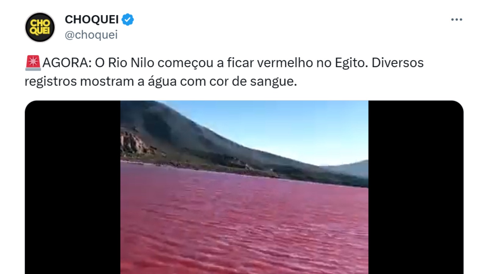 Mentiras da Choquei tiveram 40 milhões de visualizações em dois meses