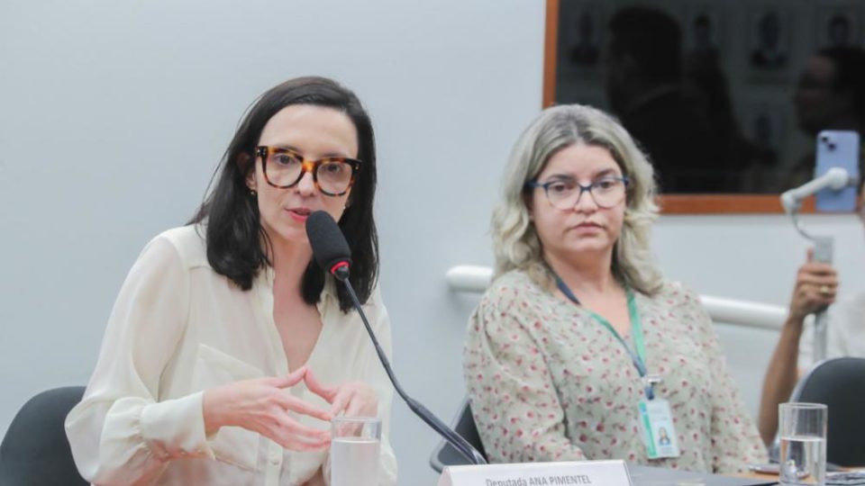 Quem é Ana Pimentel, nova presidente, da Comissão da Mulher na Câmara