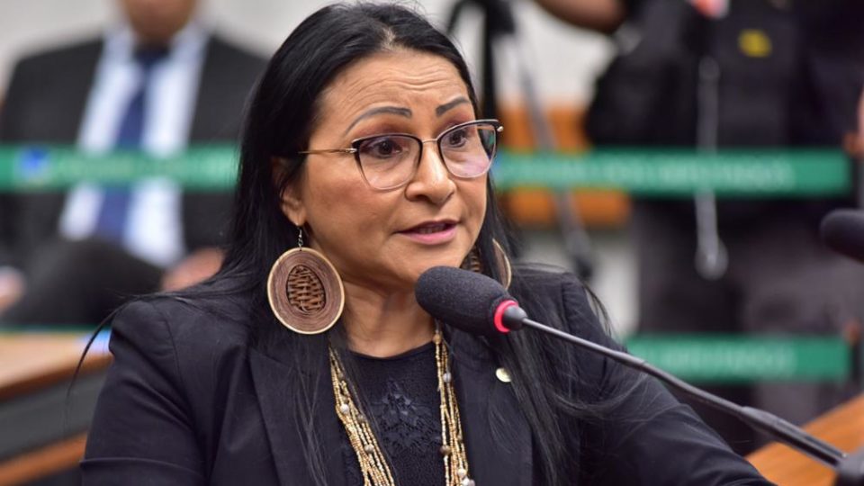 "É crime organizado", diz Silvia Waiãpi sobre leilão de arroz