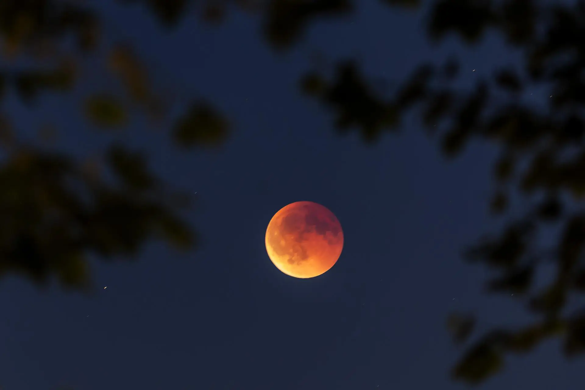 Lua de Sangue: veja imagens surpreendentes do eclipse lunar