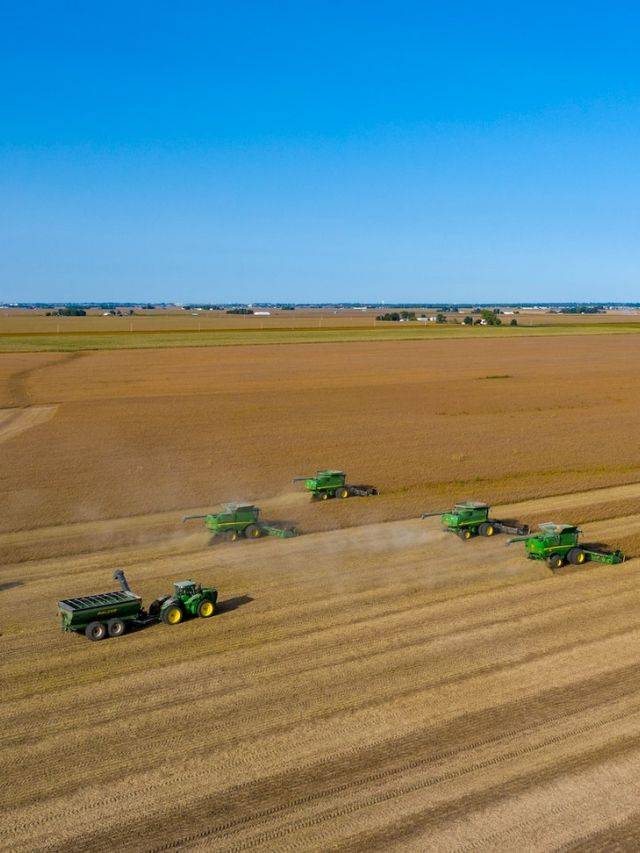 Como o Brasil criou uma soja mais nutritiva?