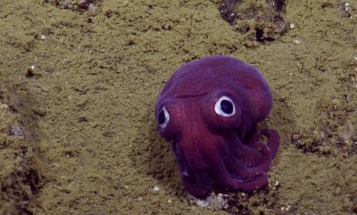 A sessão com o mestre francês David Miramond será no dia 27 de agosto ...