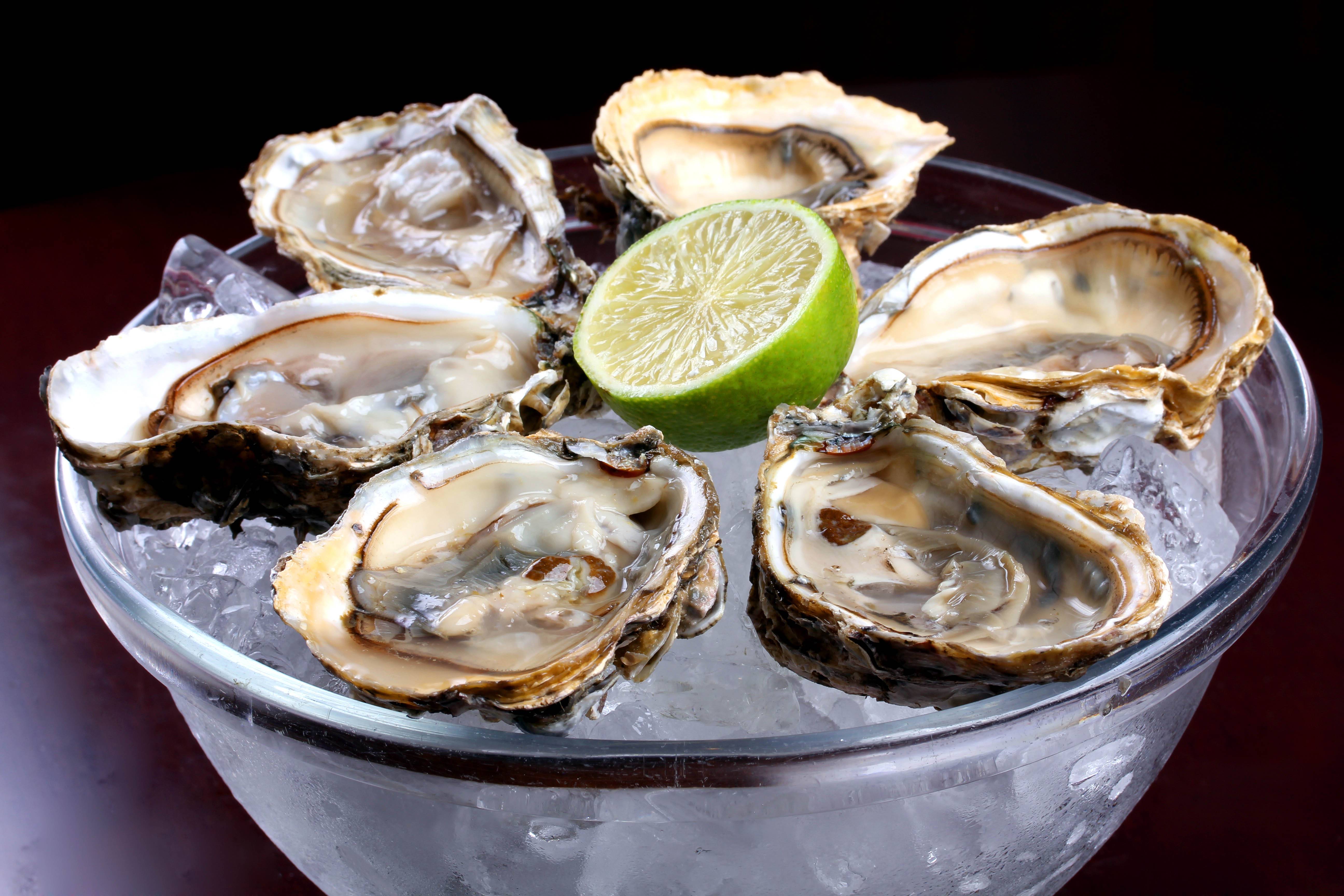 Vamos comer ostras???